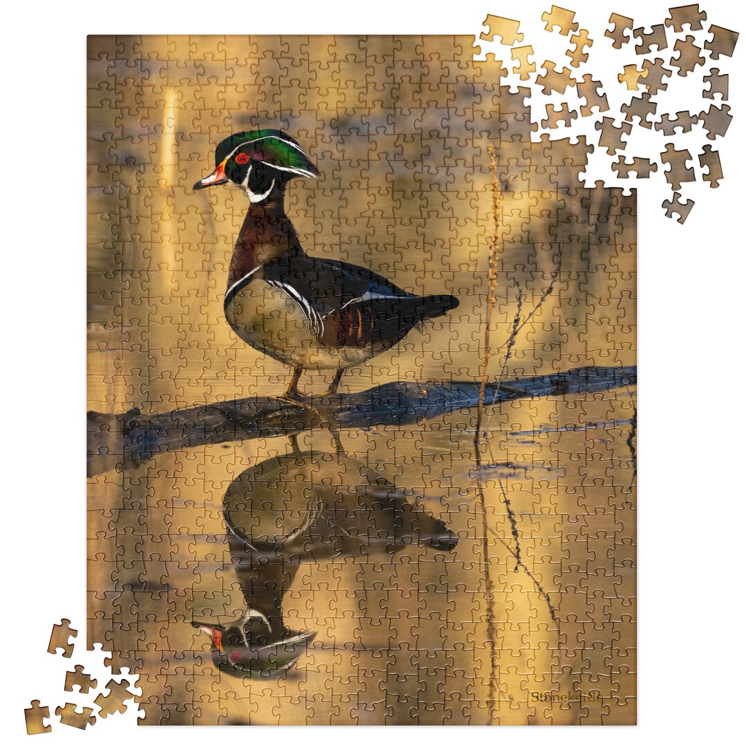 Wood Duck #1 PUZZLES - Etsy