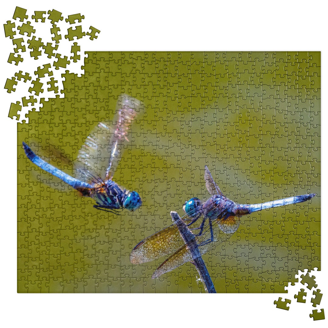 Dragonflies #50 Puzzle - Etsy