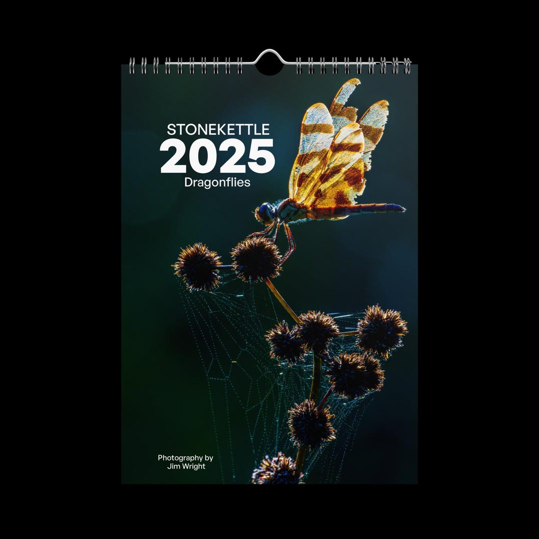Dragonfly CALENDAR (2025) - Etsy