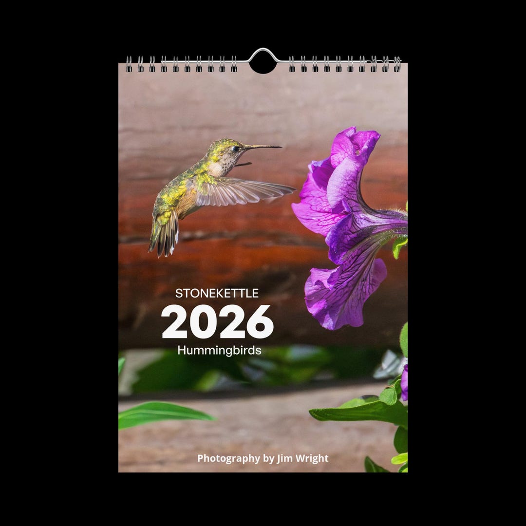 Wall Calendar (2026) Hummingbirds #1 - Etsy