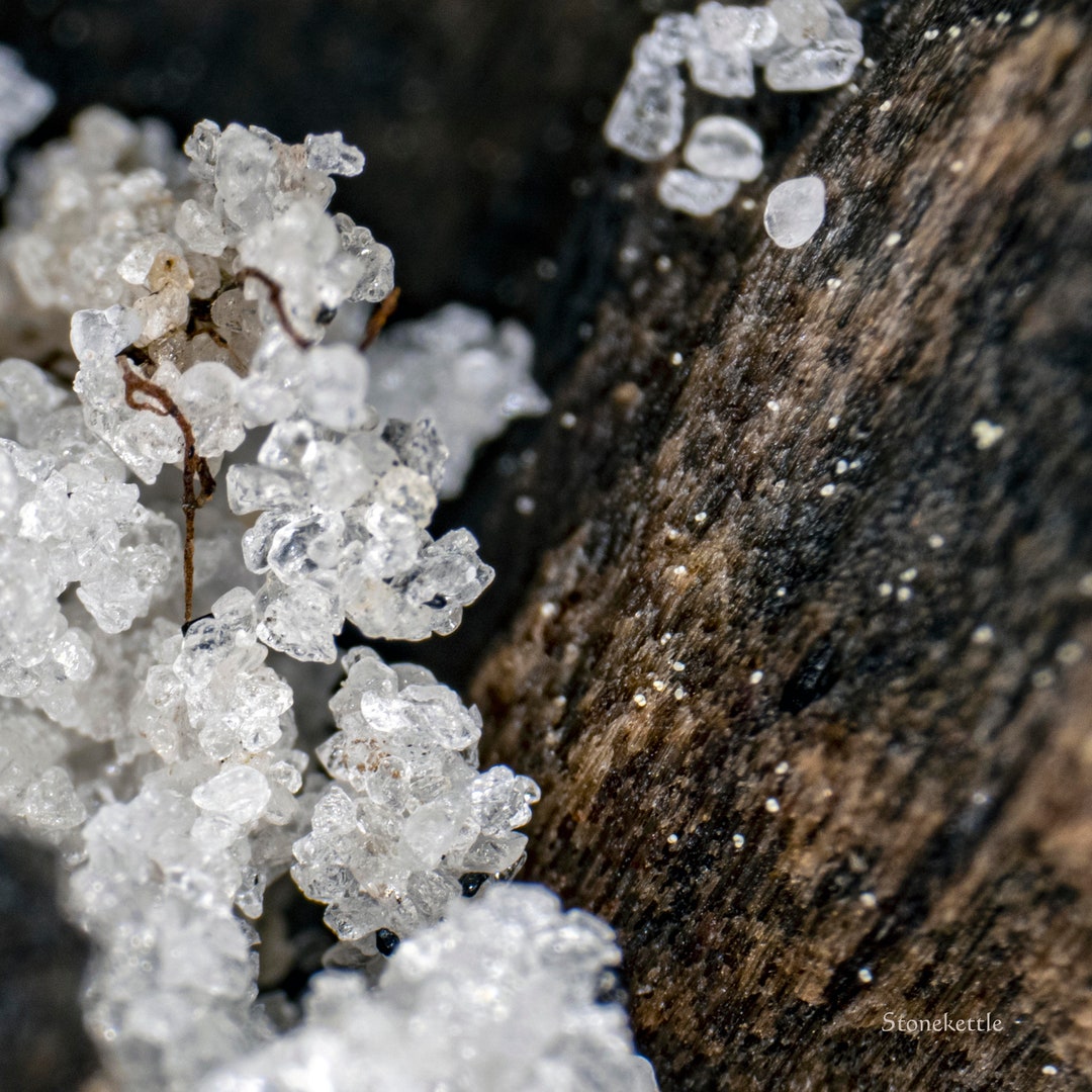 Sea Salt Print - Etsy