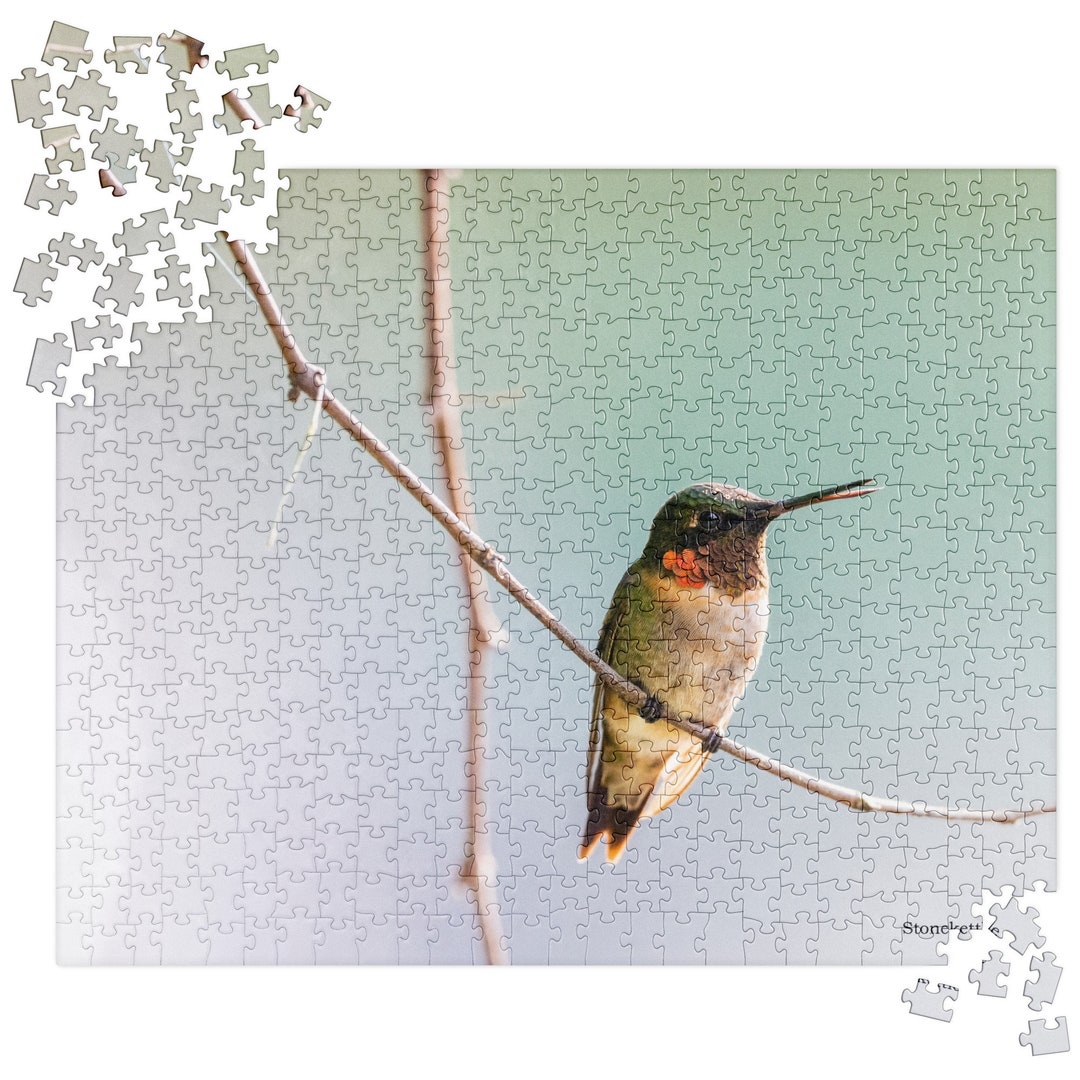 Hummingbird Jigsaw Puzzle - Etsy