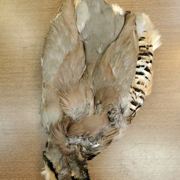 Partridge Feathers - Etsy