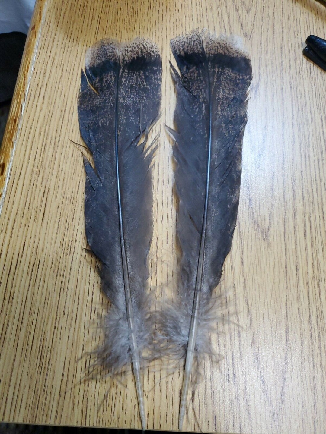 YBH77 Matched Pair Mottled Hybrid Turkey Natural Colored Tail Feather ...