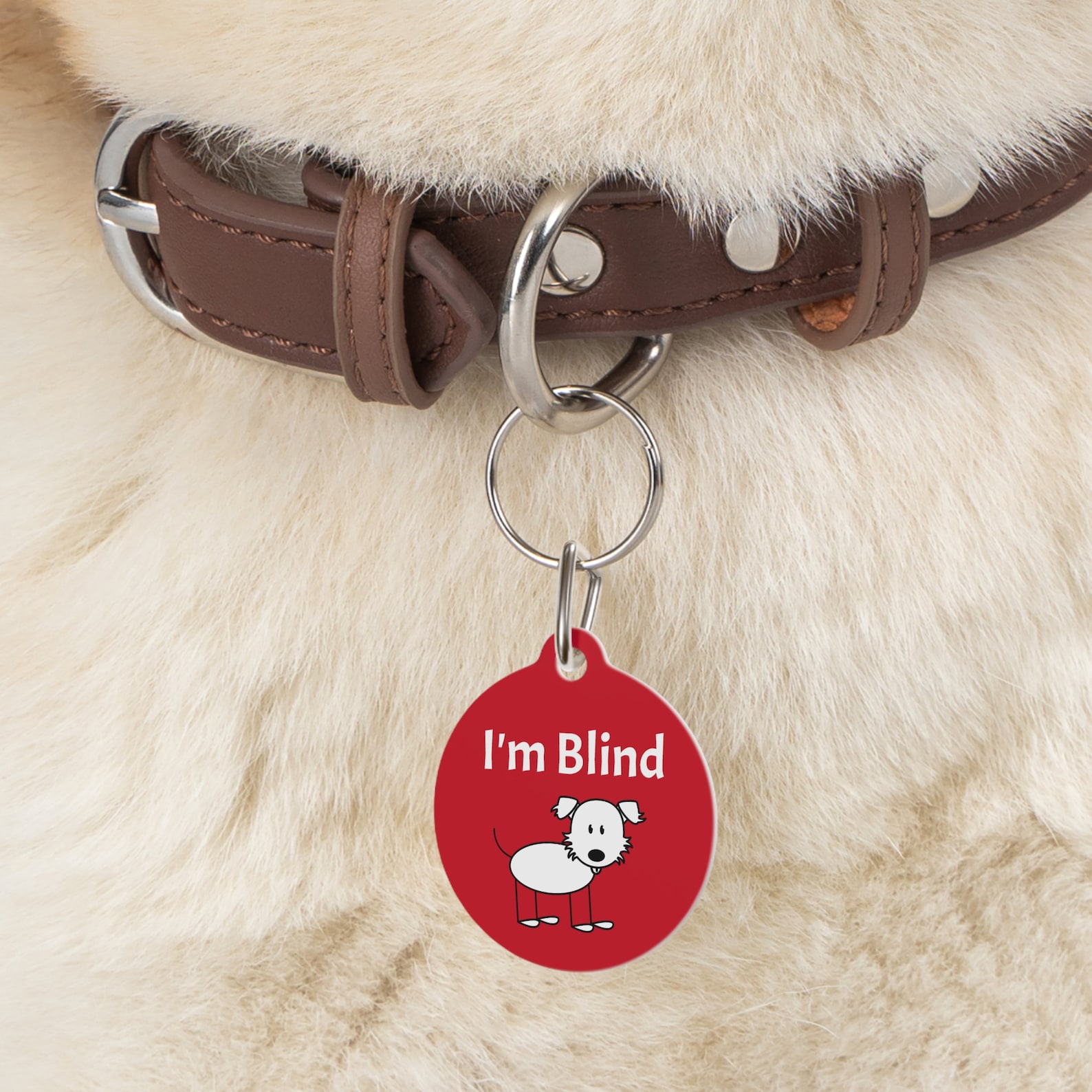 Medical Pet Tag: Metal Dog ID Tag With Blind Alert, Dark Red Blind Dog ...