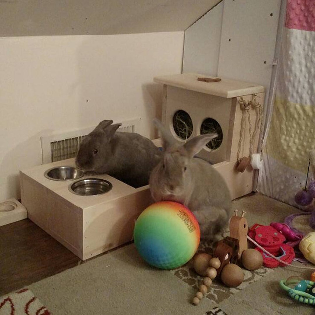 XL Rabbit Hay Feeder With Litter Box and Food and Water Bowls - Etsy