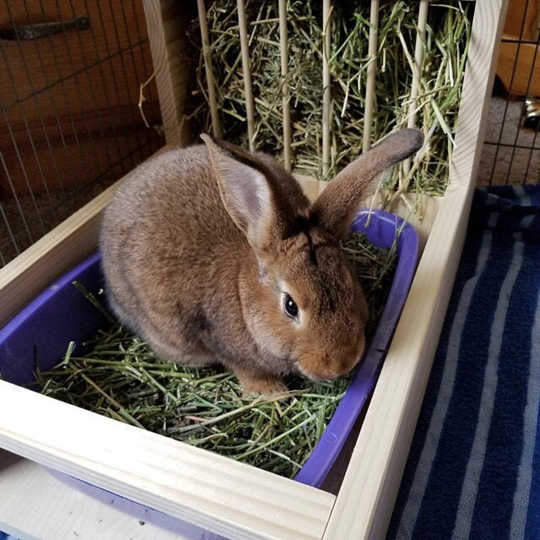 Rabbit Hay Feeder With Litter Box-dowel Model - Etsy