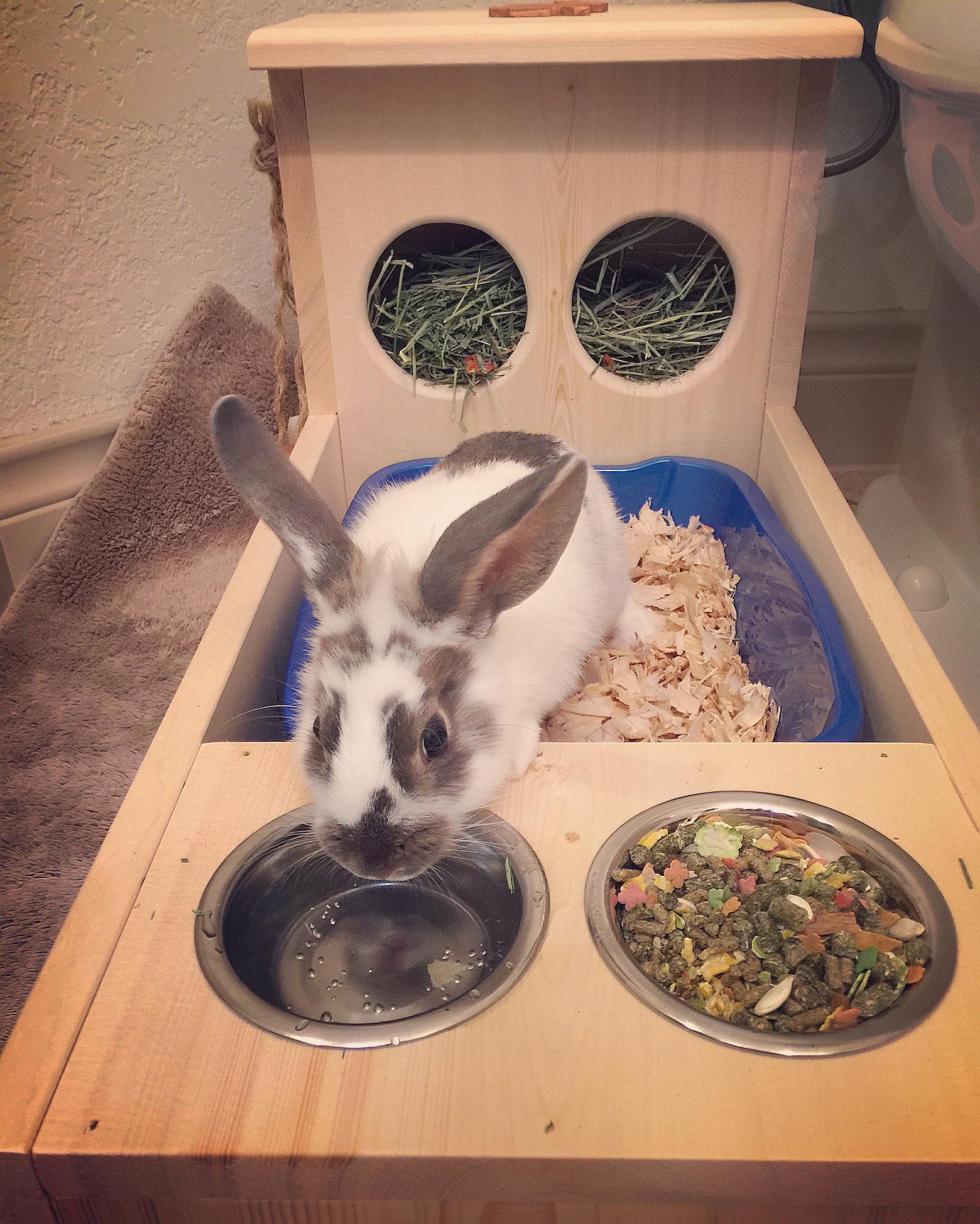 XL Rabbit Hay Feeder With Litter Box and Food and Water Bowls - Etsy
