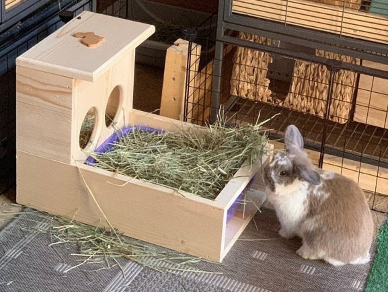 Rabbit Hay Feeder With Litter Box | Etsy