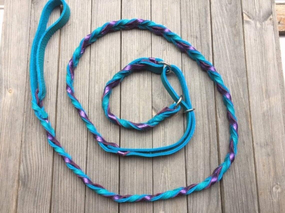 Leather Agility Slip Lead, Turquoise Bullhide and Purple Metallic ...
