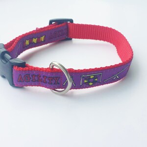 3/4" Adjustable Dog Collar, Buckle Collar, Agility, Purple - Etsy