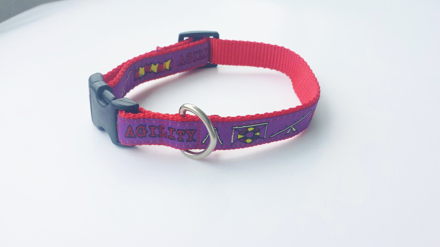 3/4 Adjustable Dog Collar Buckle Collar Agility | Etsy