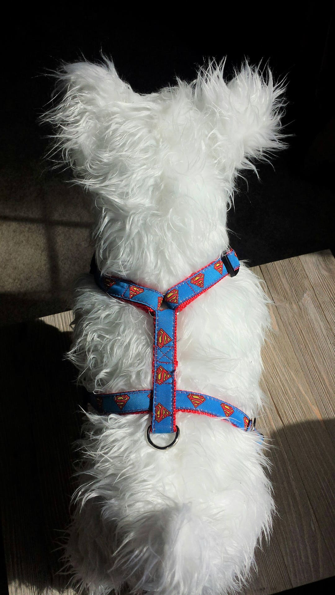 Harness, Superhero, Superman - Etsy