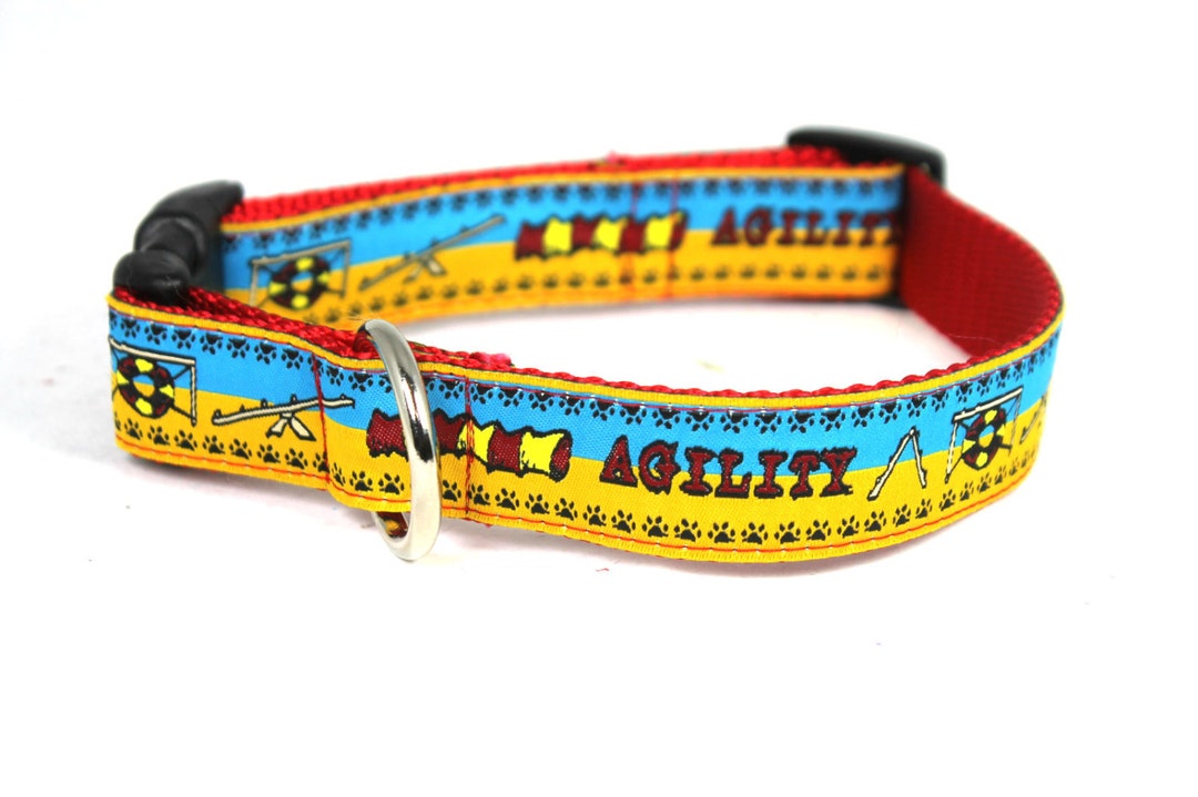 Adjustable 1" Wide Dog Collar, Agility Pattern - Etsy