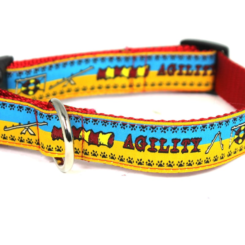 Agility Equipment - Etsy