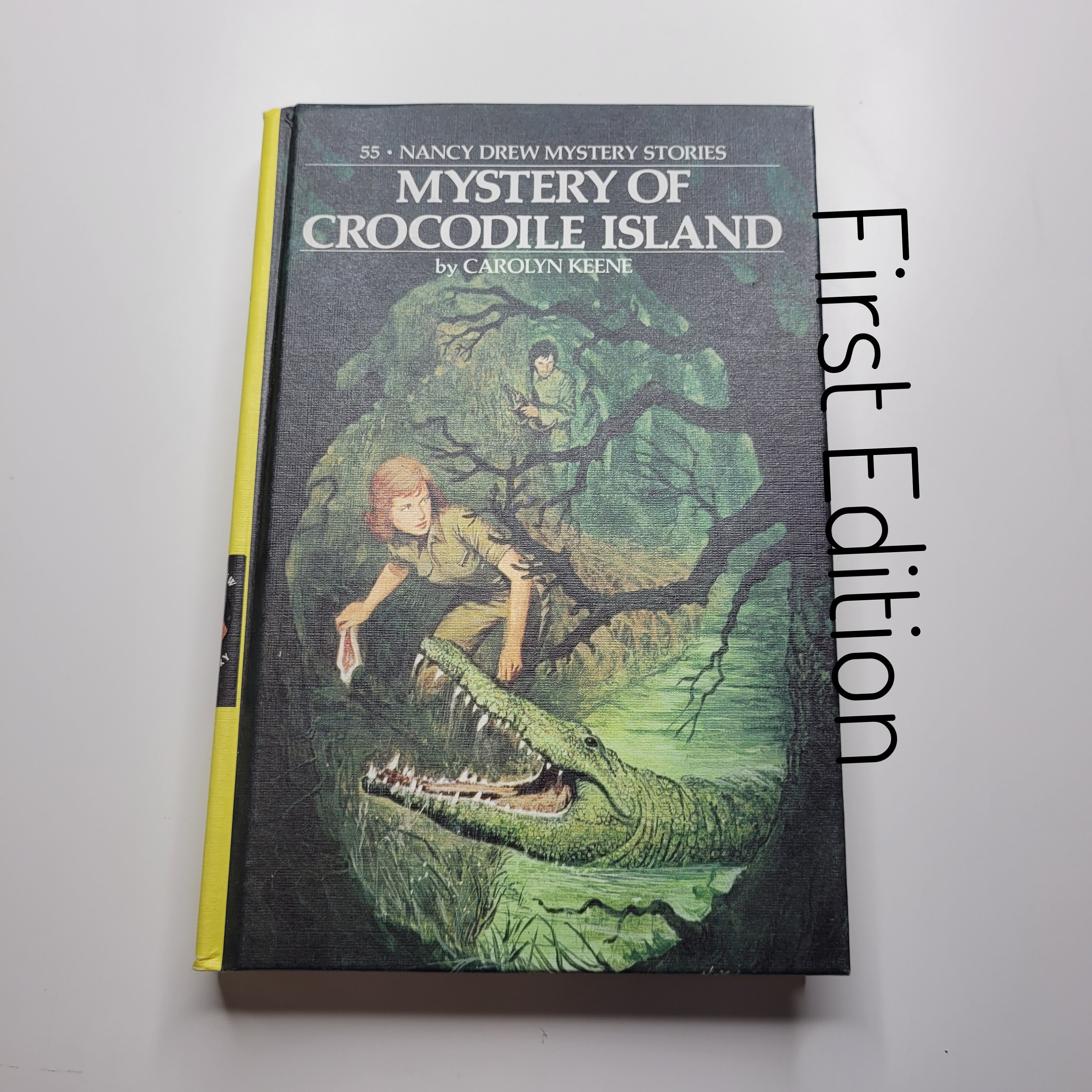 George Fayne From Nancy Drew