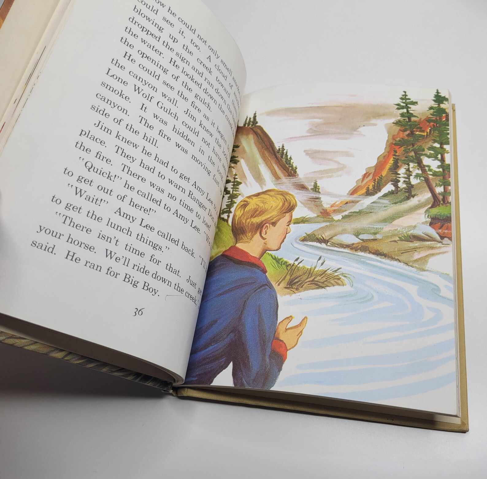 Jim Forest and Lone Wolf Gulch by John & Nancy Rambeau, Vintage Kids ...