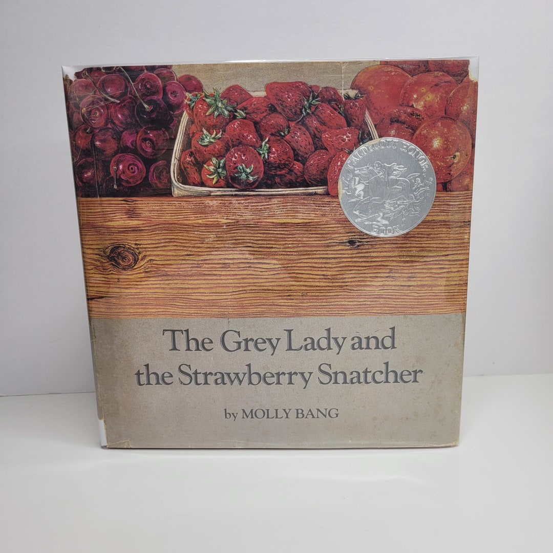 The Grey Lady and the Strawberry Snatcher by Molly Bang, Vintage ...