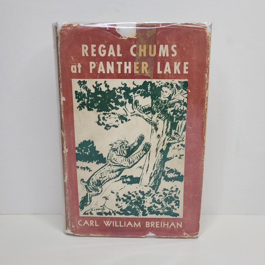 The Regal Chums at Panther Lake by Carl William Breihan, Vintage Kids ...