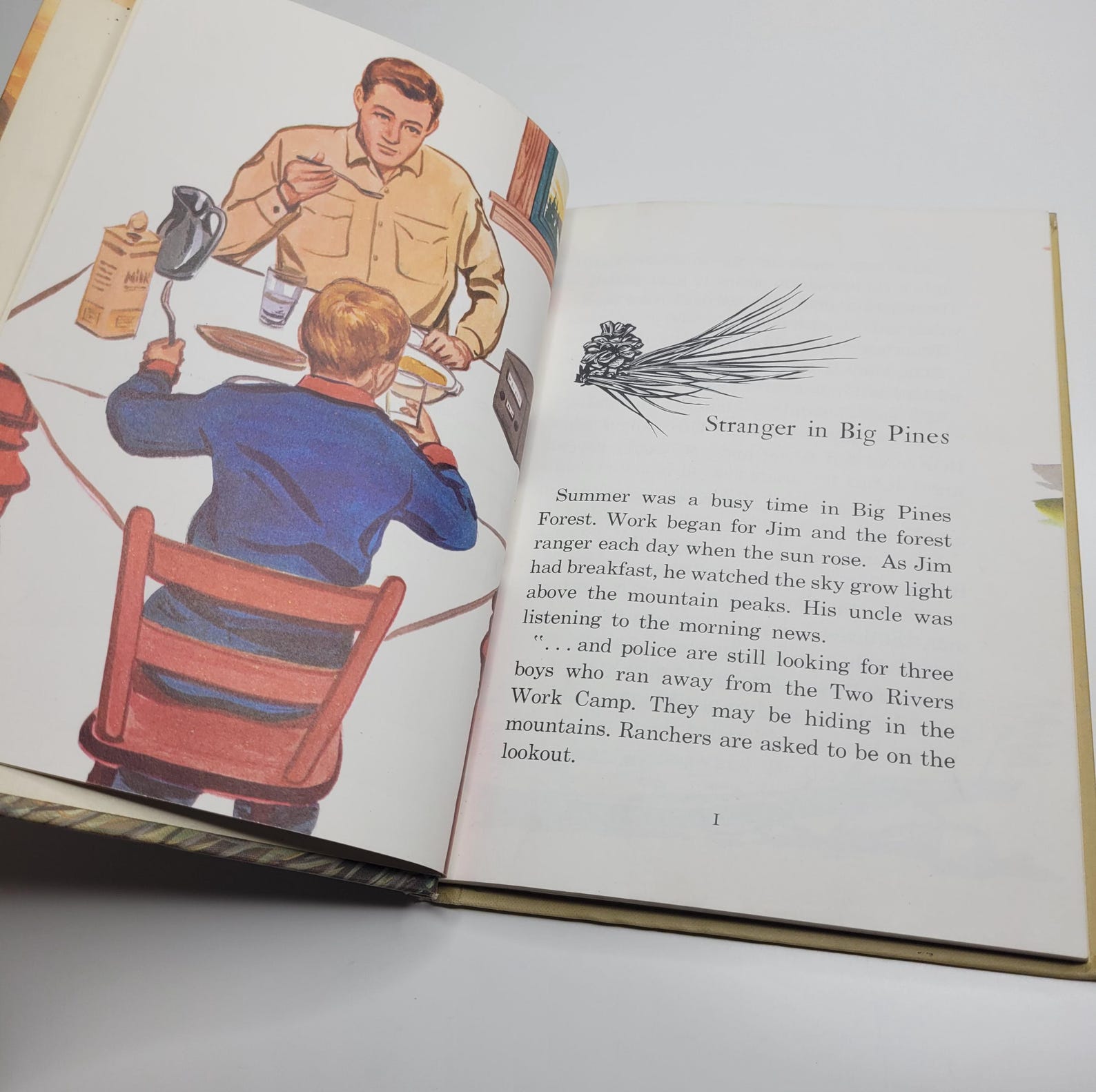 Jim Forest and Lone Wolf Gulch by John & Nancy Rambeau, Vintage Kids ...