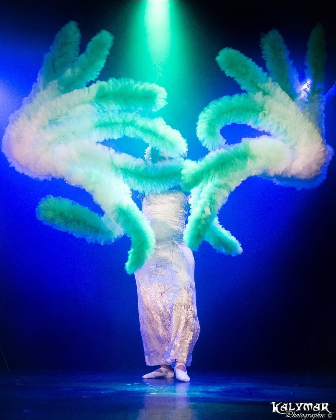 Vegan Waterfall Fans éventails Tulle Boa Burlesque Made in France - Etsy