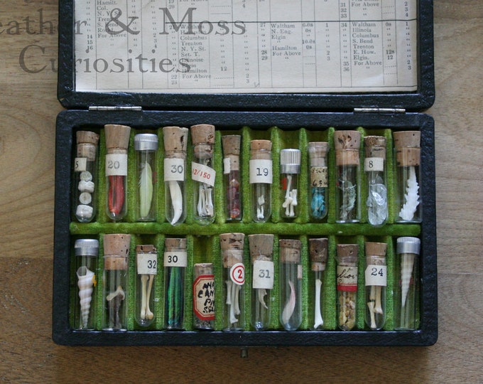 Miniature Curiosities in Vintage Vials With Leather Case. - Etsy