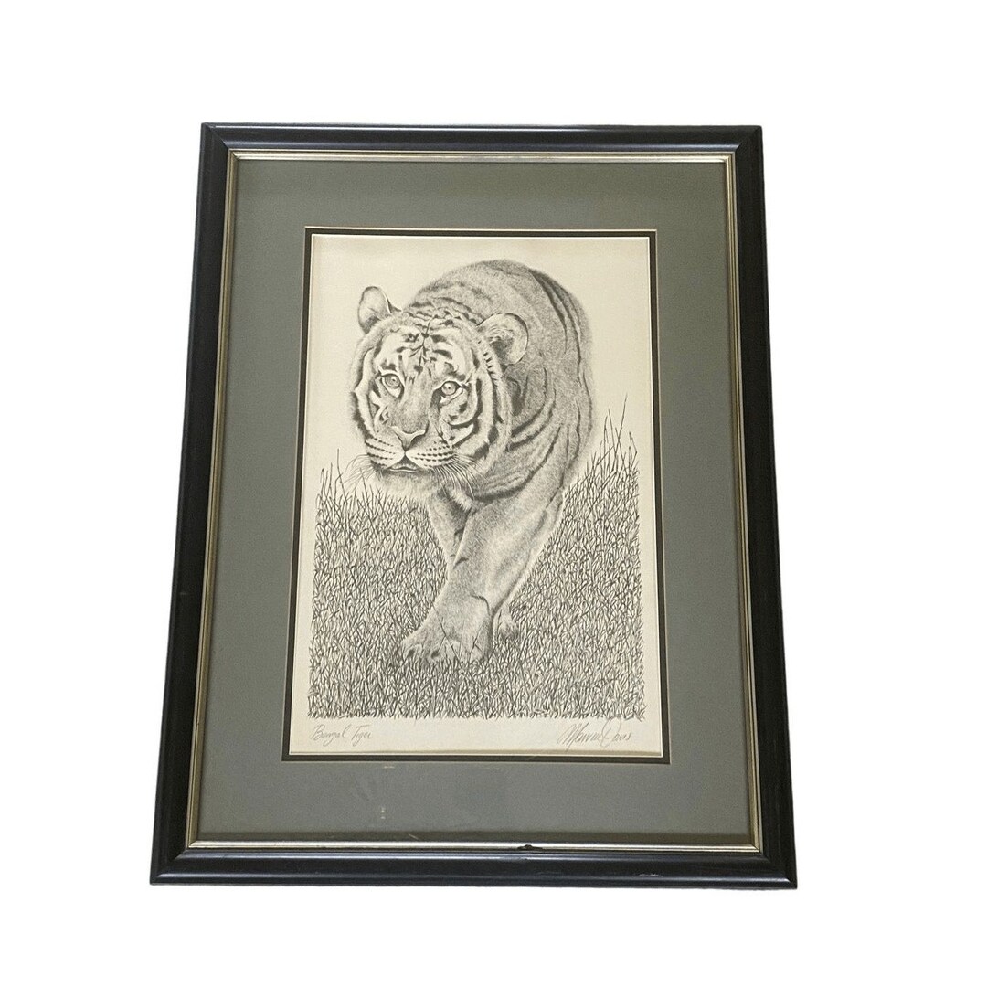 Bengal Tiger Etching Print Signed Warren Davis 20” X 26” - Etsy
