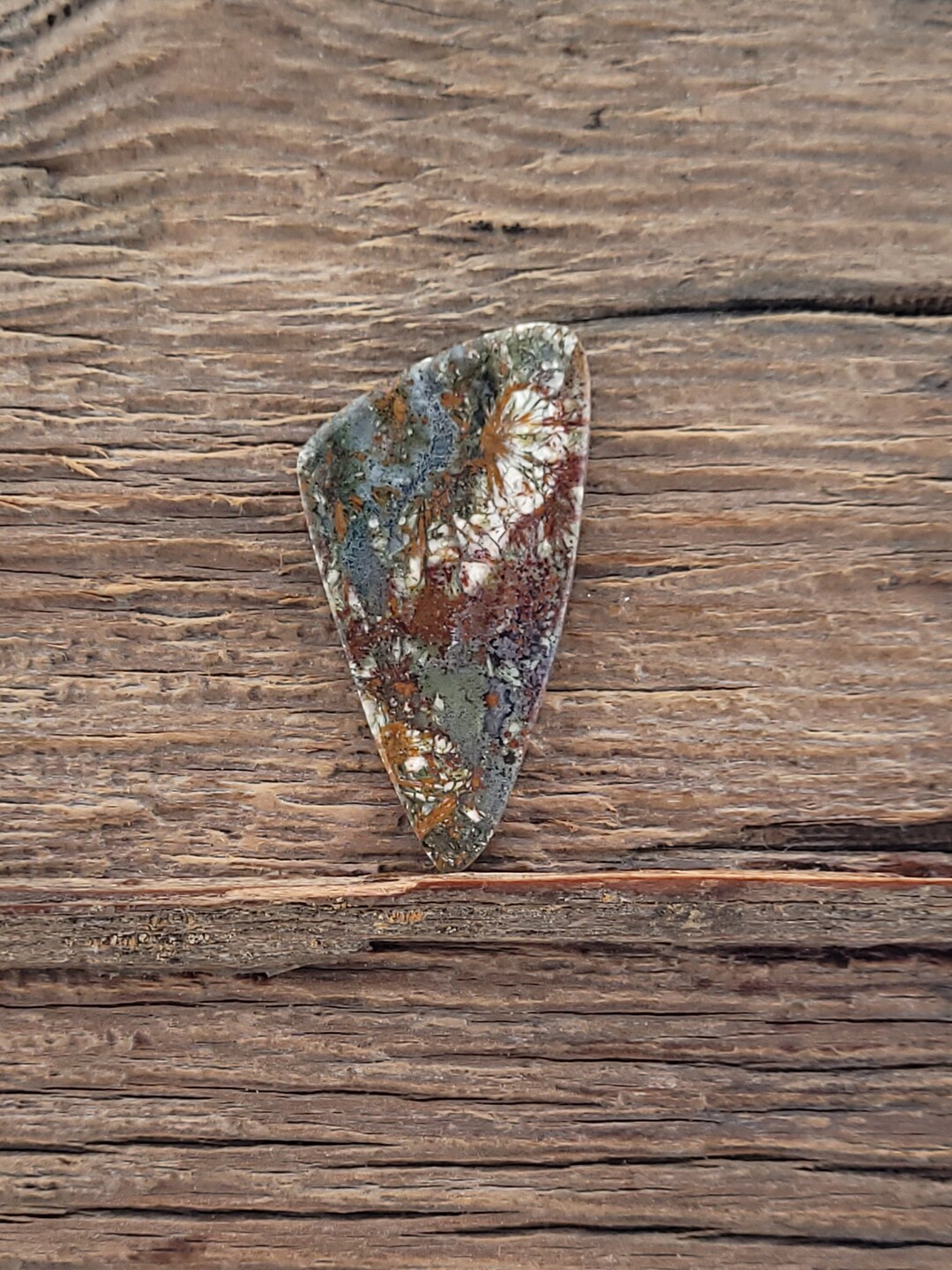Petrified Dinosaur Coprolite poop - Etsy