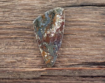Coprolite, Dinosaur Fossil Dinosaur Poo, Fossilized Feces, Dino Dookie ...
