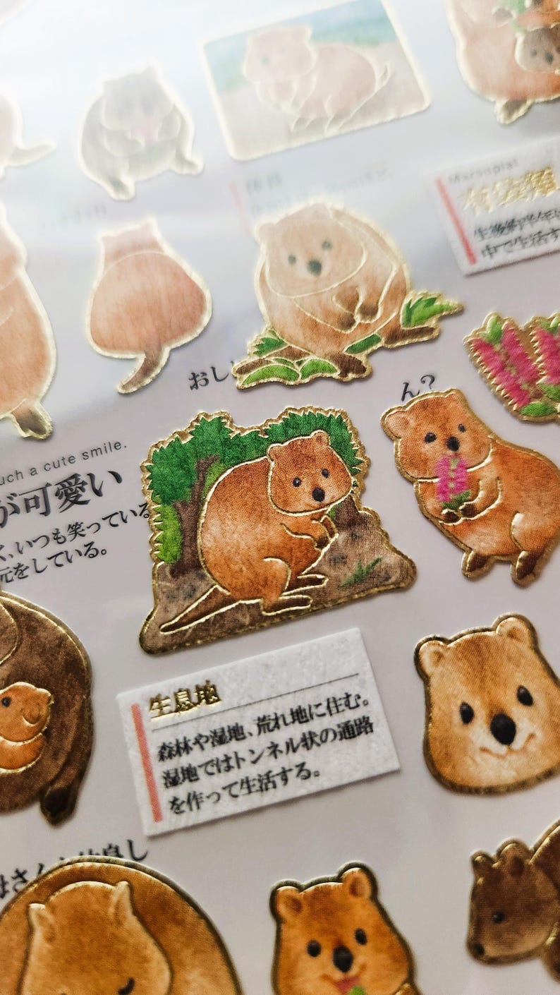 J Kamio Japan Texture Crinkle Washi Paper Sticker: Adult Encyclopedia ...