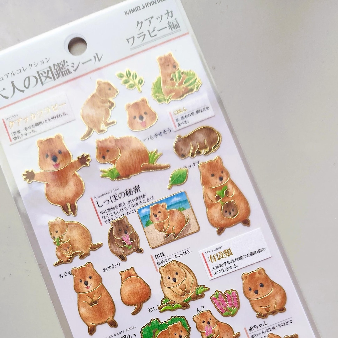 J Kamio Japan Texture Crinkle Washi Paper Sticker: Adult Encyclopedia ...