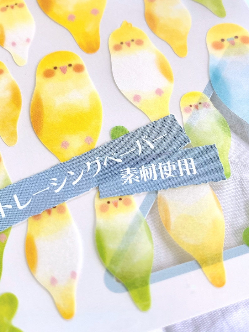 Japanese translucent paper - rawnipod