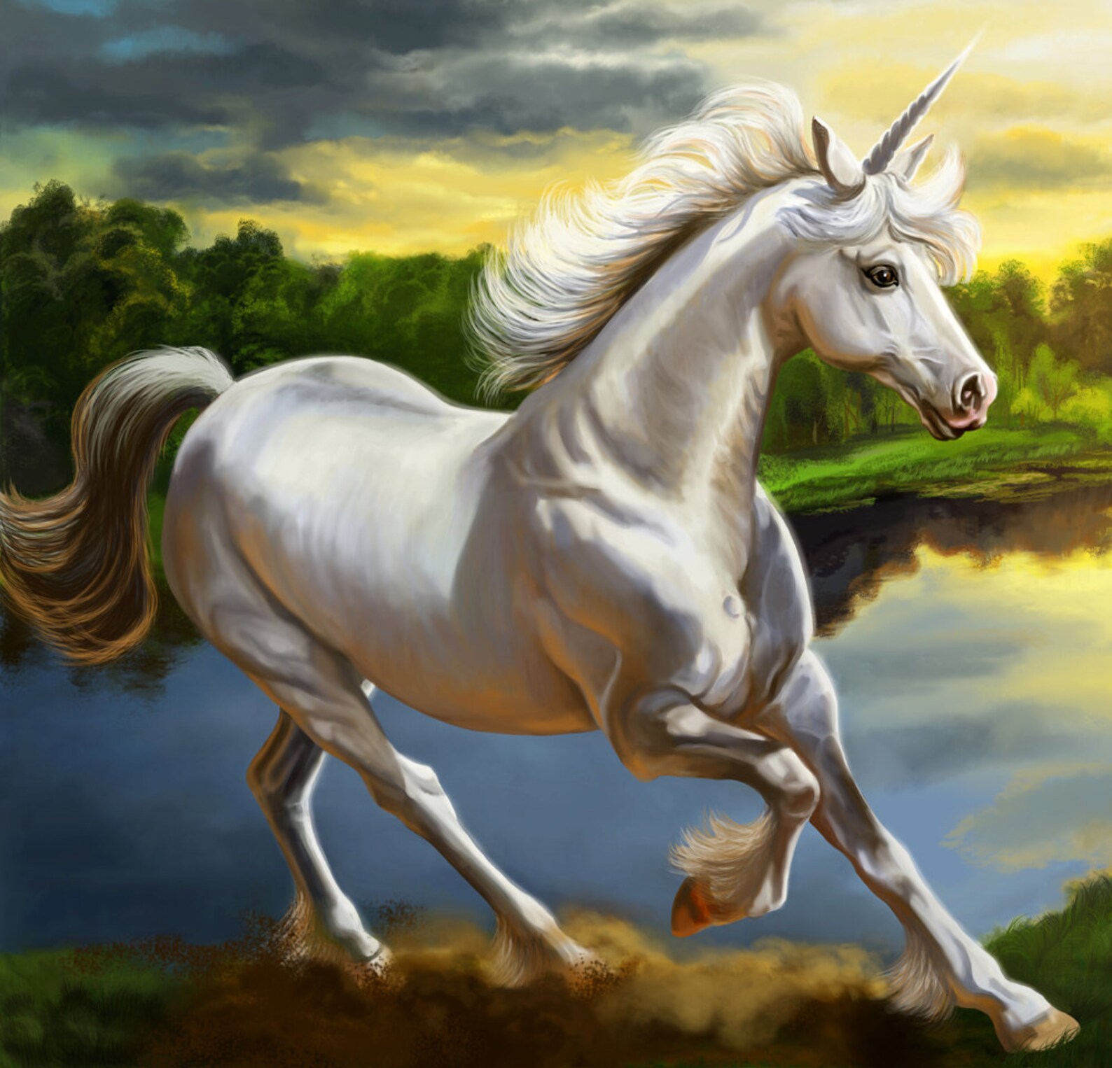 13x17 Signed Unicorn Missed Noah's Ark Art Print by Sandra - Etsy