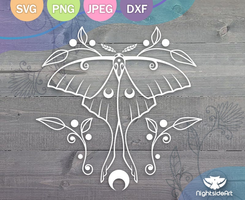 Floral Luna Moth Cut Files for Cricut and Silhouette .svg .png .dxf ...