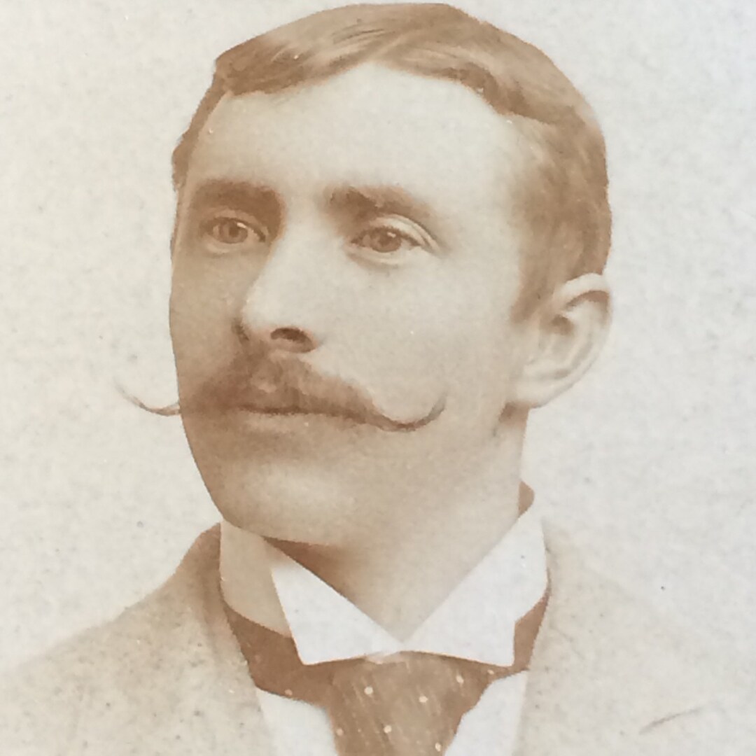 Magnificent Mustache Vintage CDV Carte De Visite Photo - Etsy