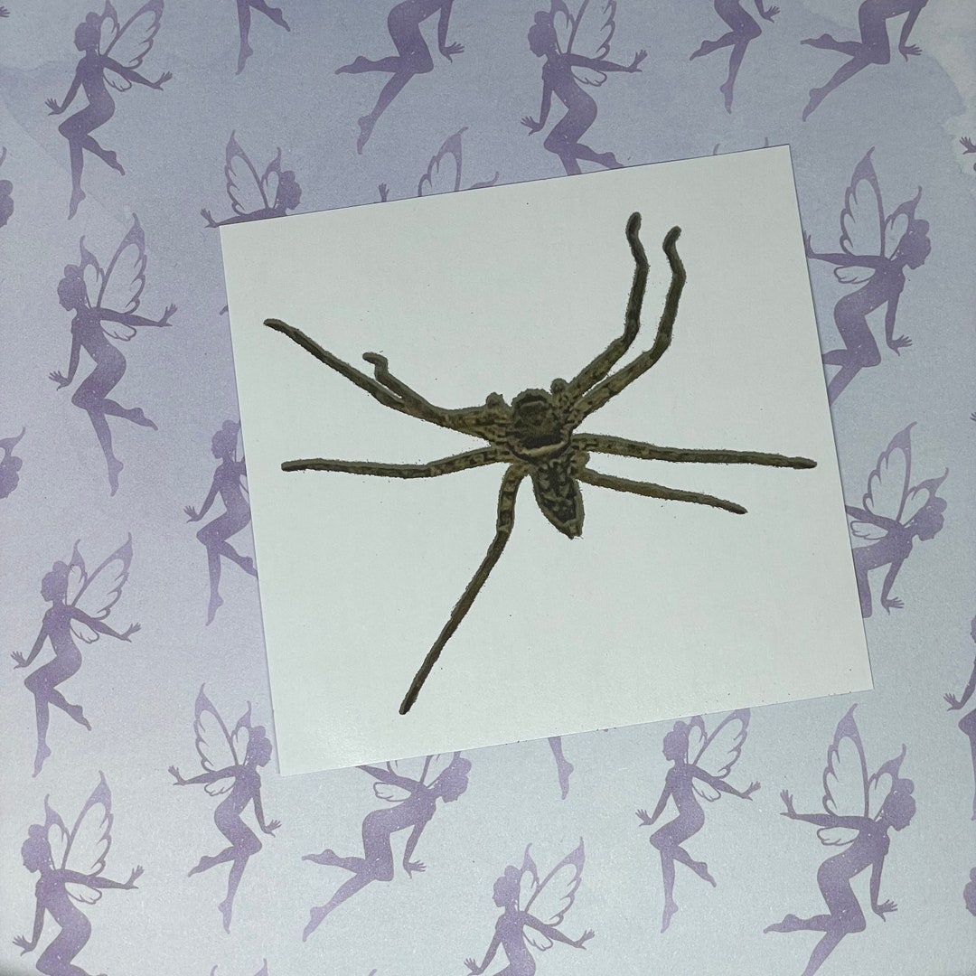 Spider Sticker Huntsman Spider Prank Stickers 3 - Etsy