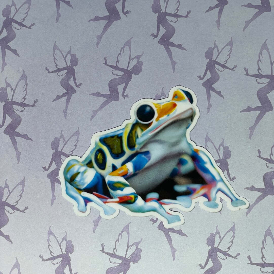 Rainbow Frog Stickers Cute Stickers for Water Bottle, Frog Gifts for ...