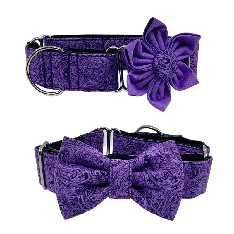 Paisley Dog Collar - Etsy