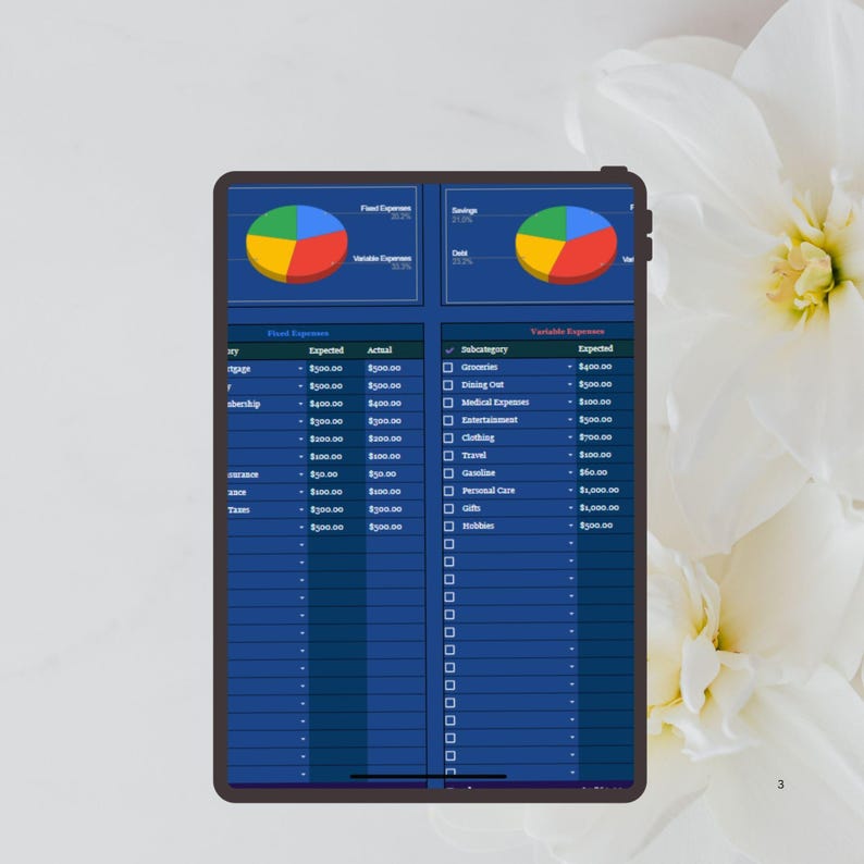 Paycheck Budget Spreadsheet, Biweekly Pay Planner, Debt Payoff Tracker ...