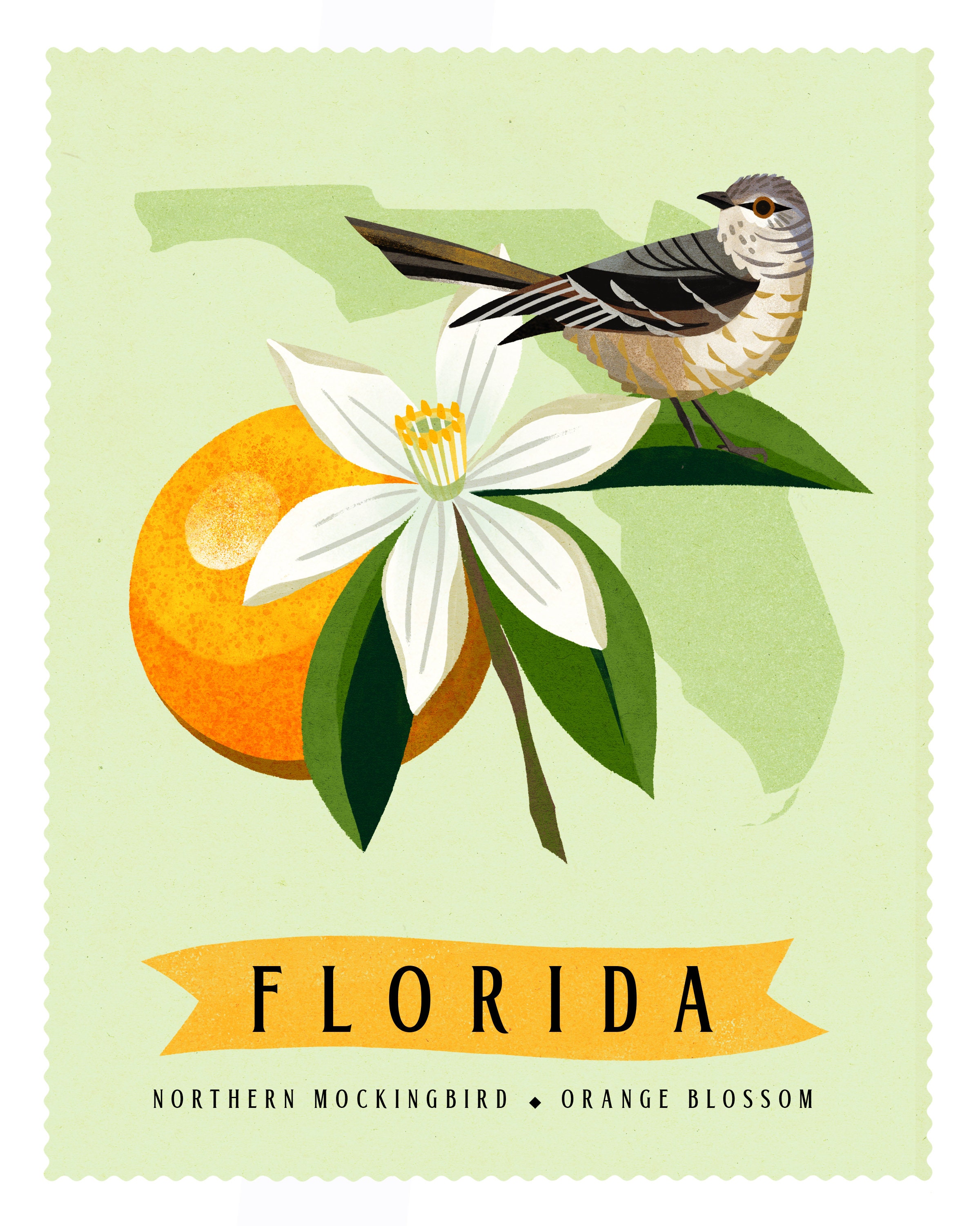 Florida State Bird and State Flower Art Print Mockingbird and Orange ...