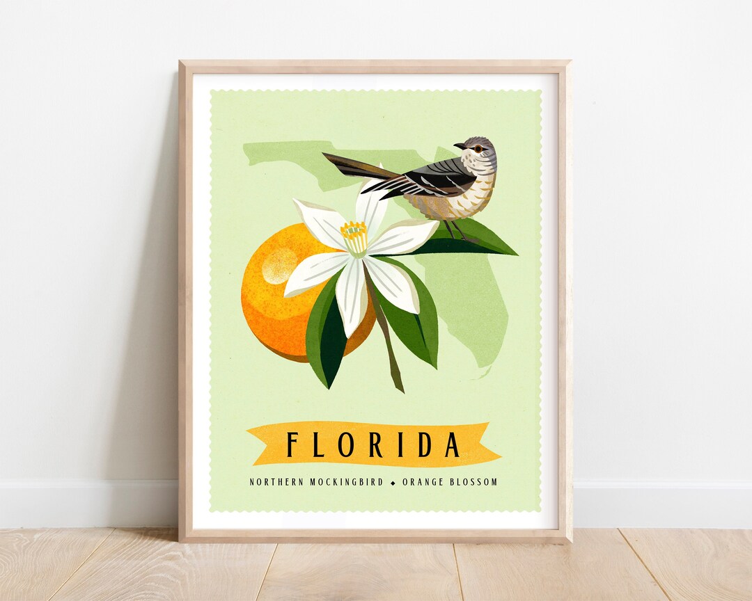 Florida State Bird and State Flower Art Print - Mockingbird and Orange ...