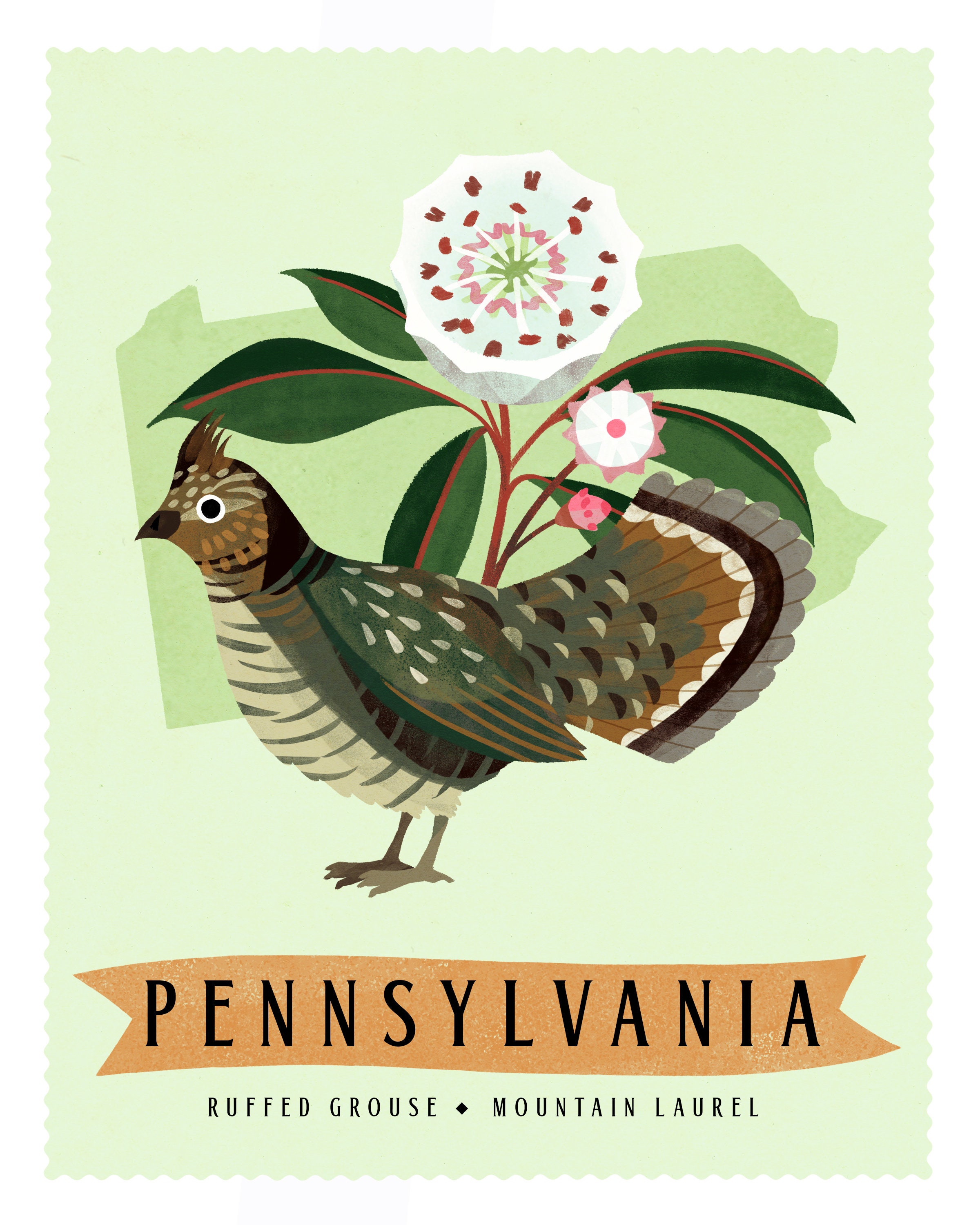 Pennsylvania State Bird and State Flower Art Print Grouse and Laurel ...