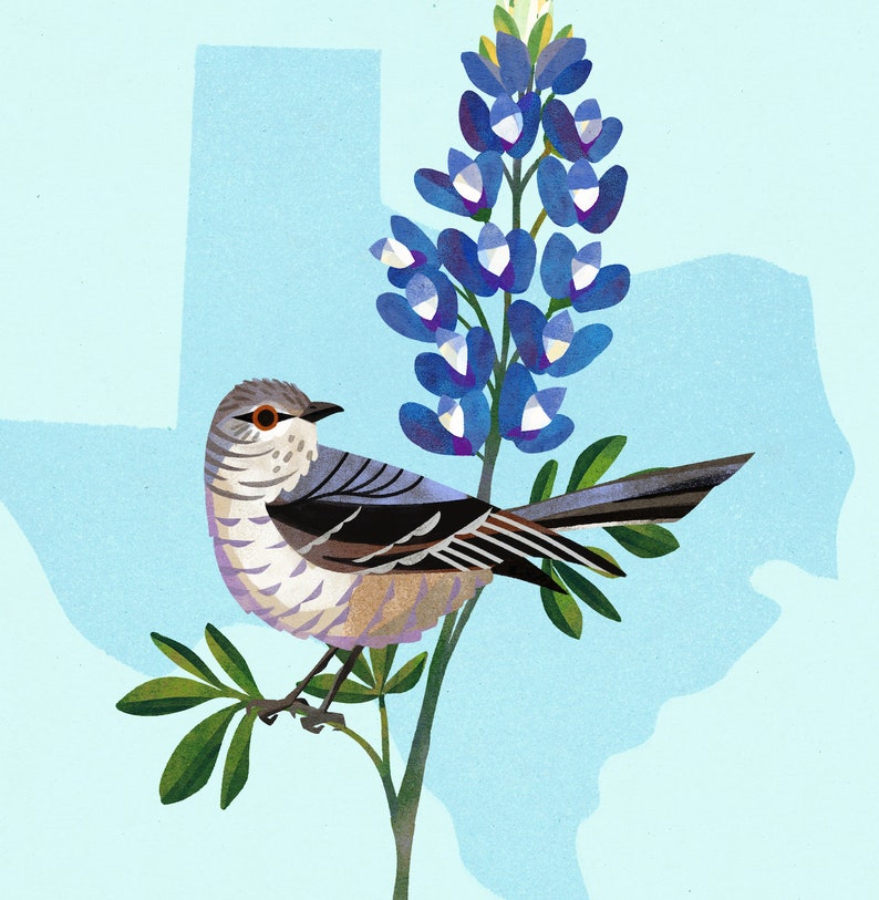 Texas State Bird and State Flower Art Print - Mockingbird and ...