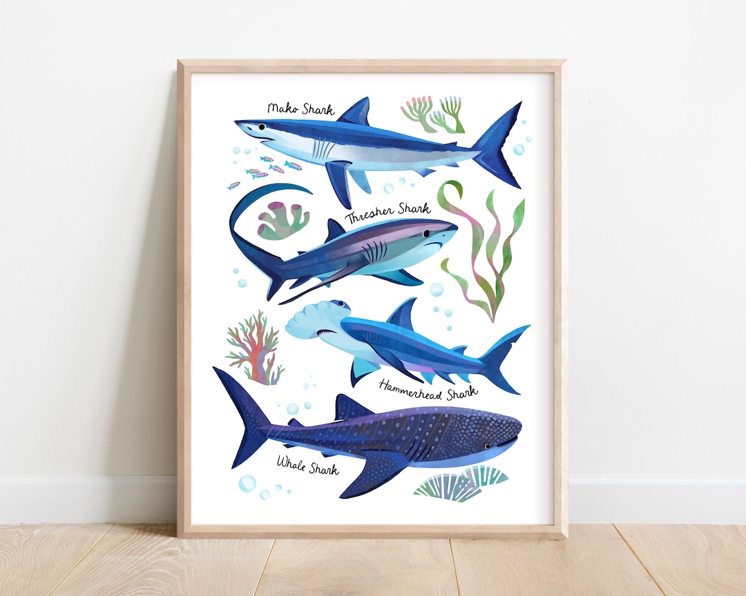 Shark Ocean Life Art Print - 8x10, 11x14 Inches - Oceanic Illustration ...