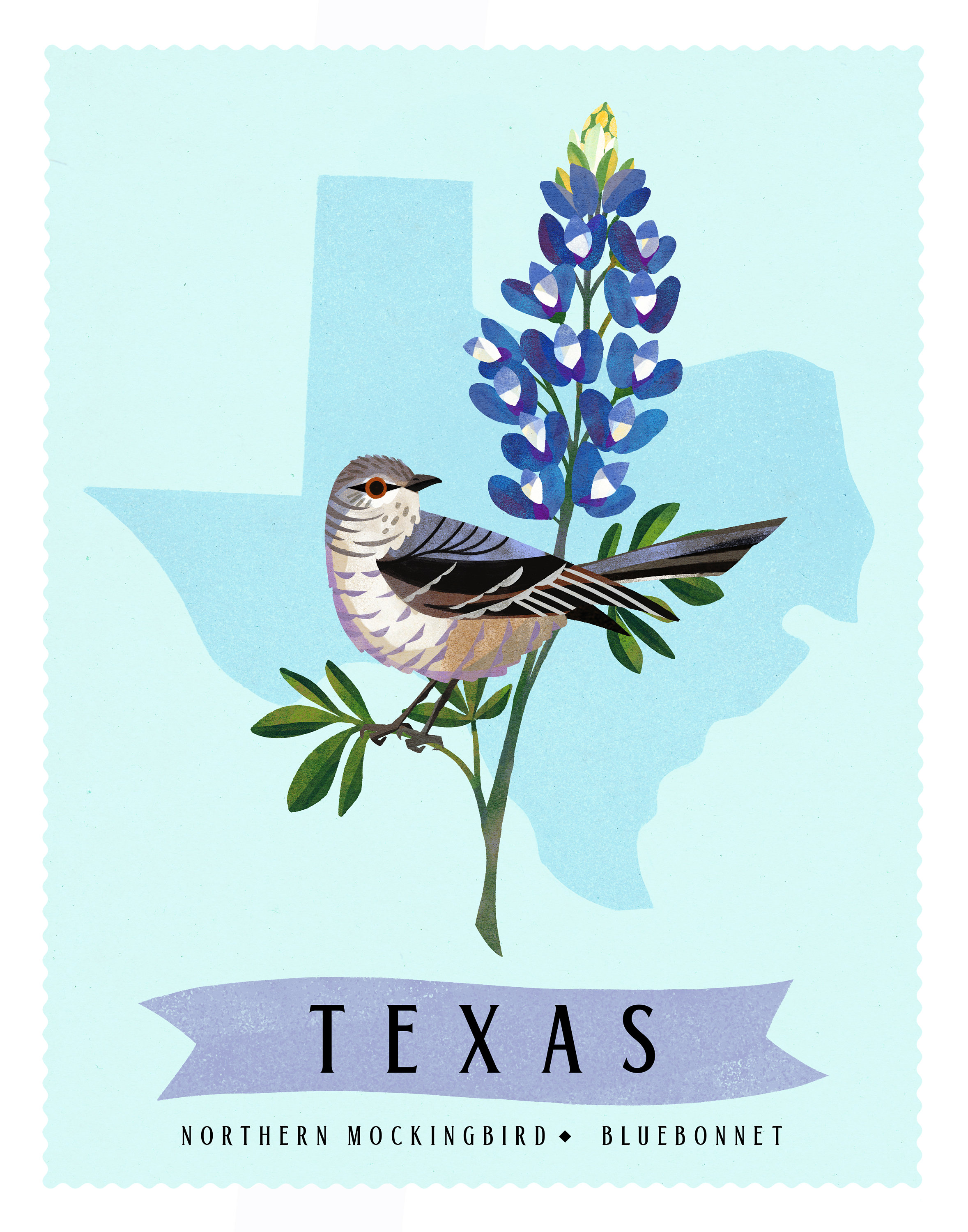Texas State Bird and State Flower Art Print Mockingbird and Bluebonnets ...