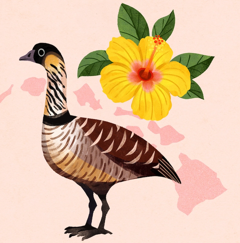 Hawaii State Bird and State Flower Art Print - Goose and Hibiscus ...