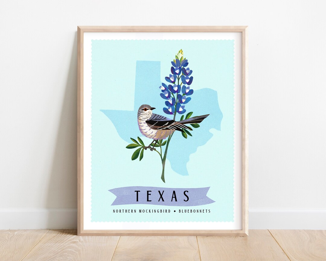 Texas State Bird and State Flower Art Print - Mockingbird and ...
