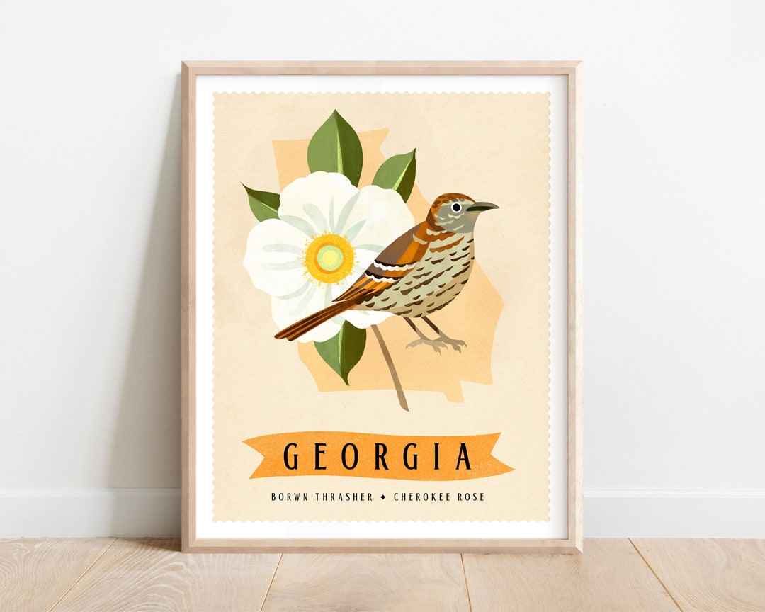 Georgia State Bird and State Flower Art Print - Brown Thrasher Quail ...