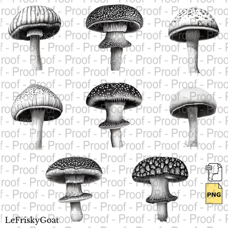 Fungus Plant Mushrooms SVG Pack Variety - Etsy