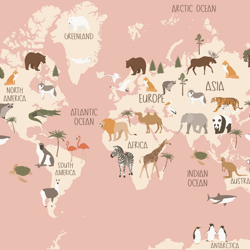 Pink World Map - Etsy